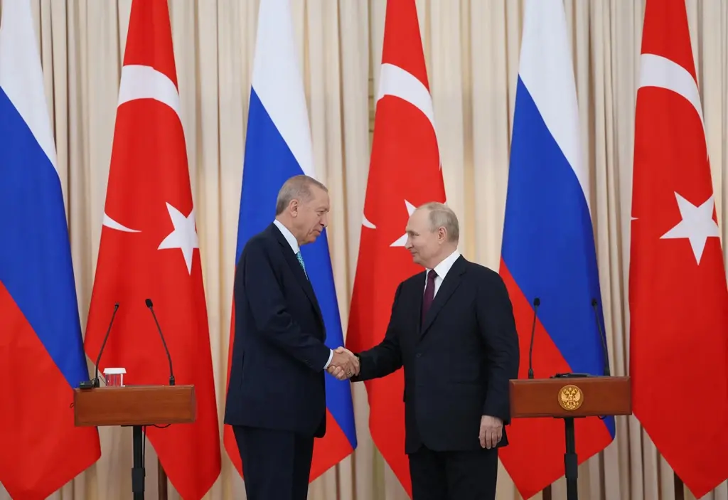 What happened at Erdoğan-Putin summit in Sochi?